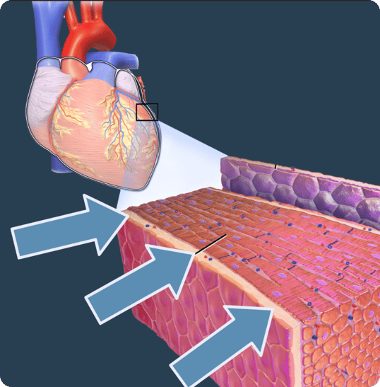 Keeping Up With The Carditises