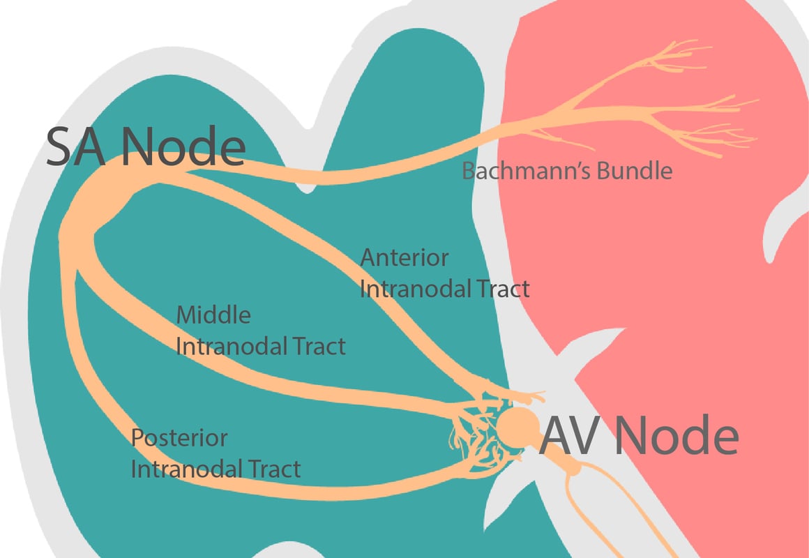 EKG Interpretation for Nurses | NURSING.com