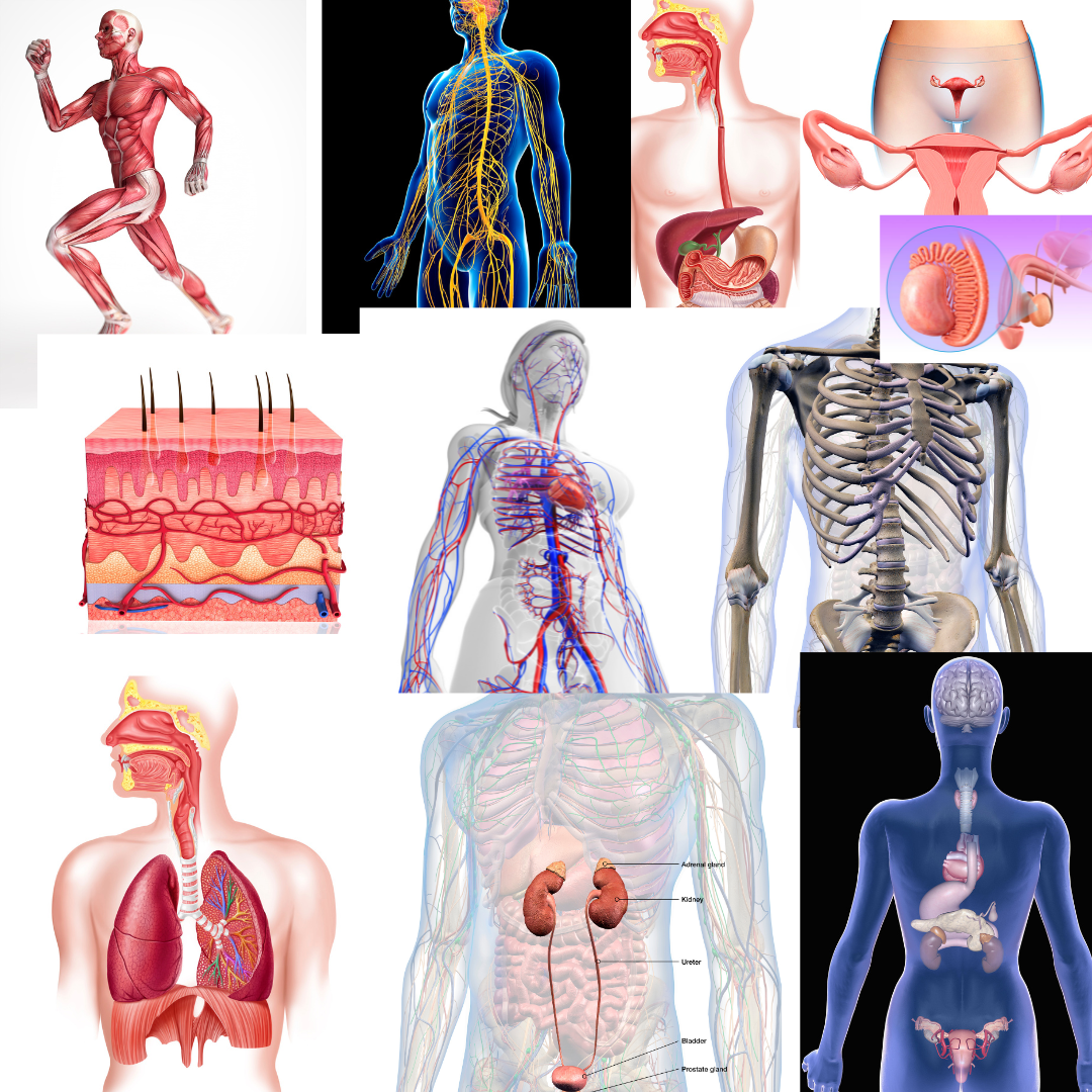 25 Memory Tricks To Demolish Nursing School and The NCLEX | Nursing ...