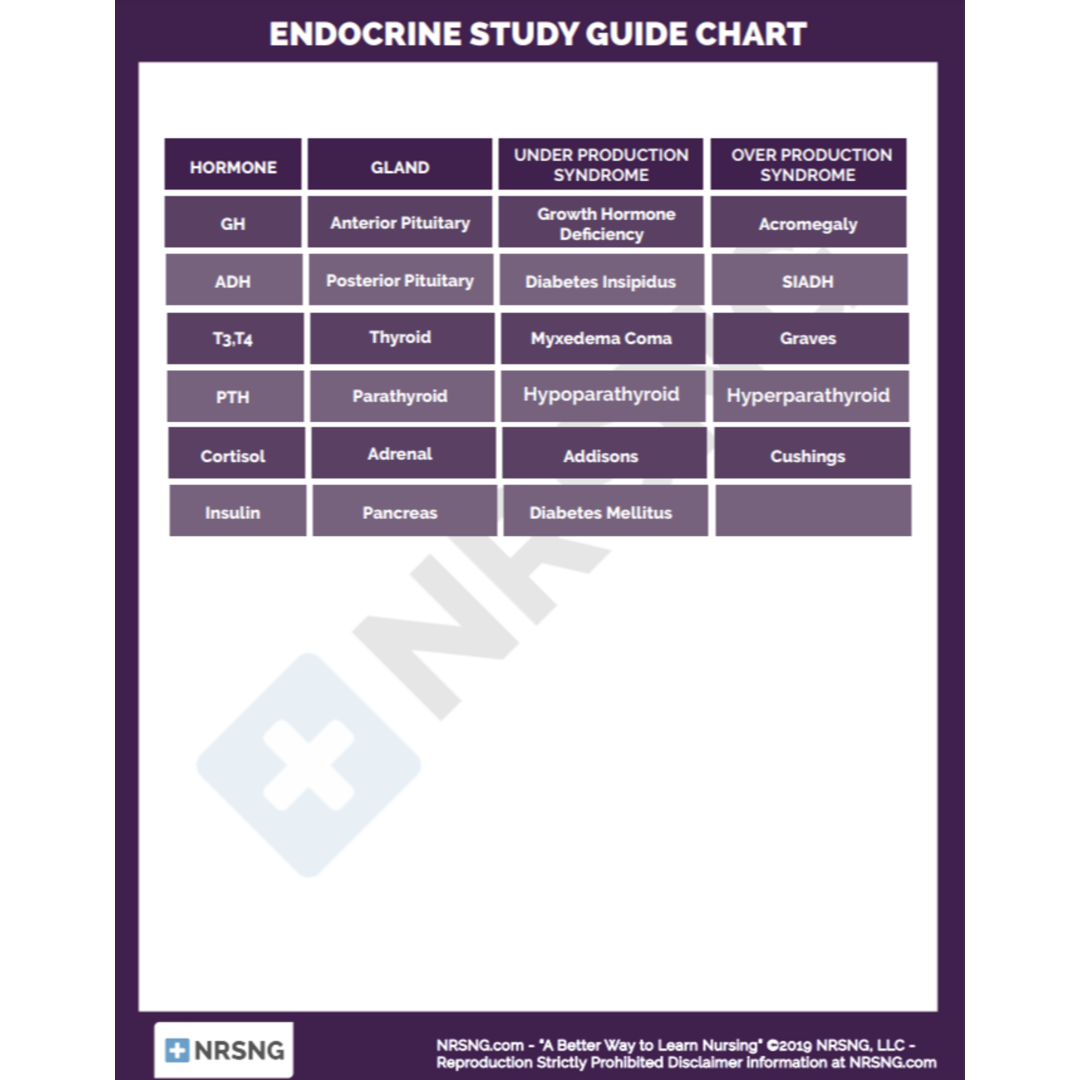 Endocrine System Study Guide With Answers Q&A | NURSING.com