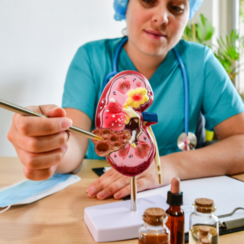 Complete Guide to Blood Urea Nitrogen (BUN) Lab Values: Nursing Lab Values